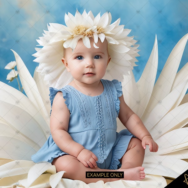 Elegant Red & Black Digital Photography Backdrop, Dramatic Fabric ...