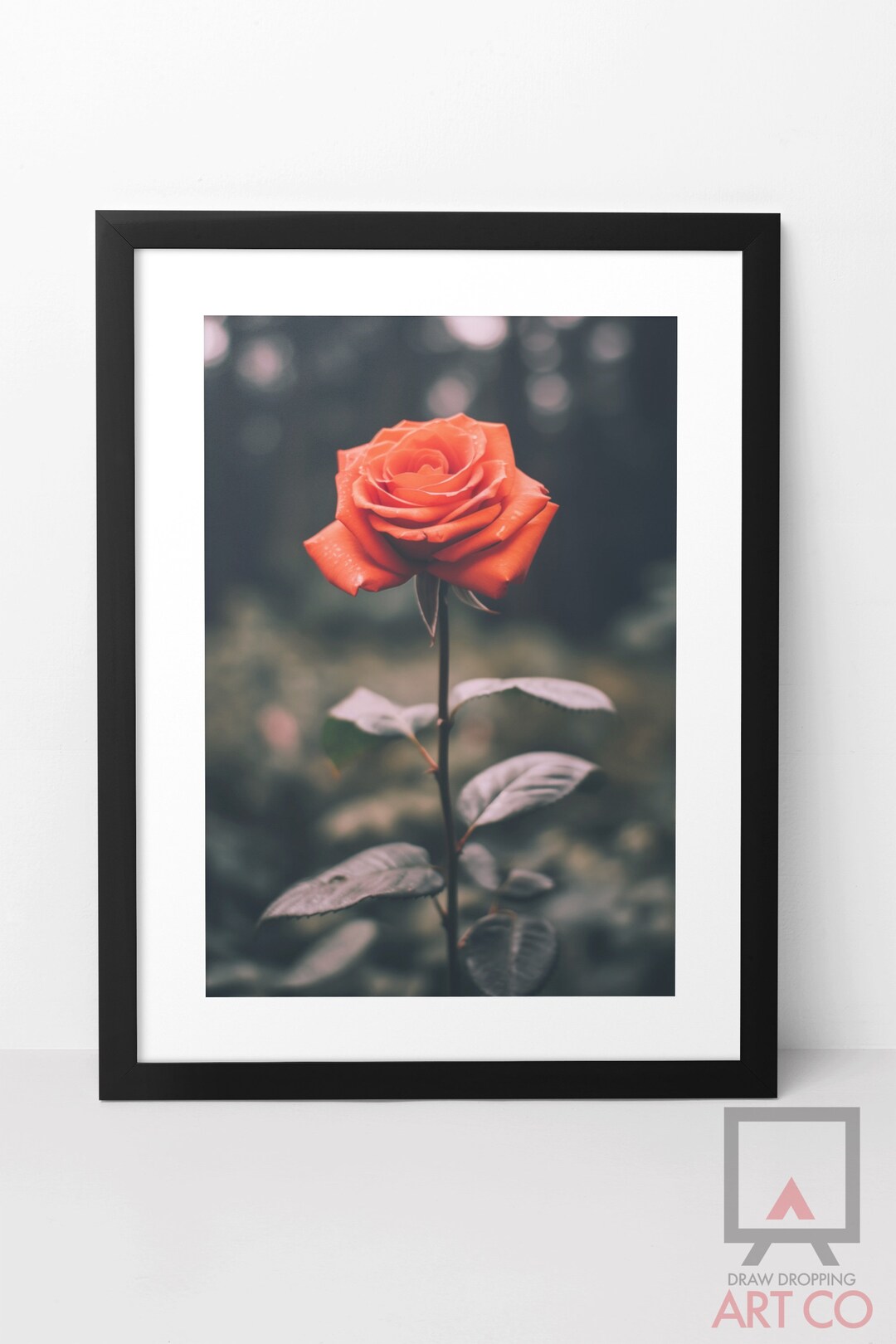 Silent Bloom Captivating Single Red Rose Moody Red Rose Art High ...