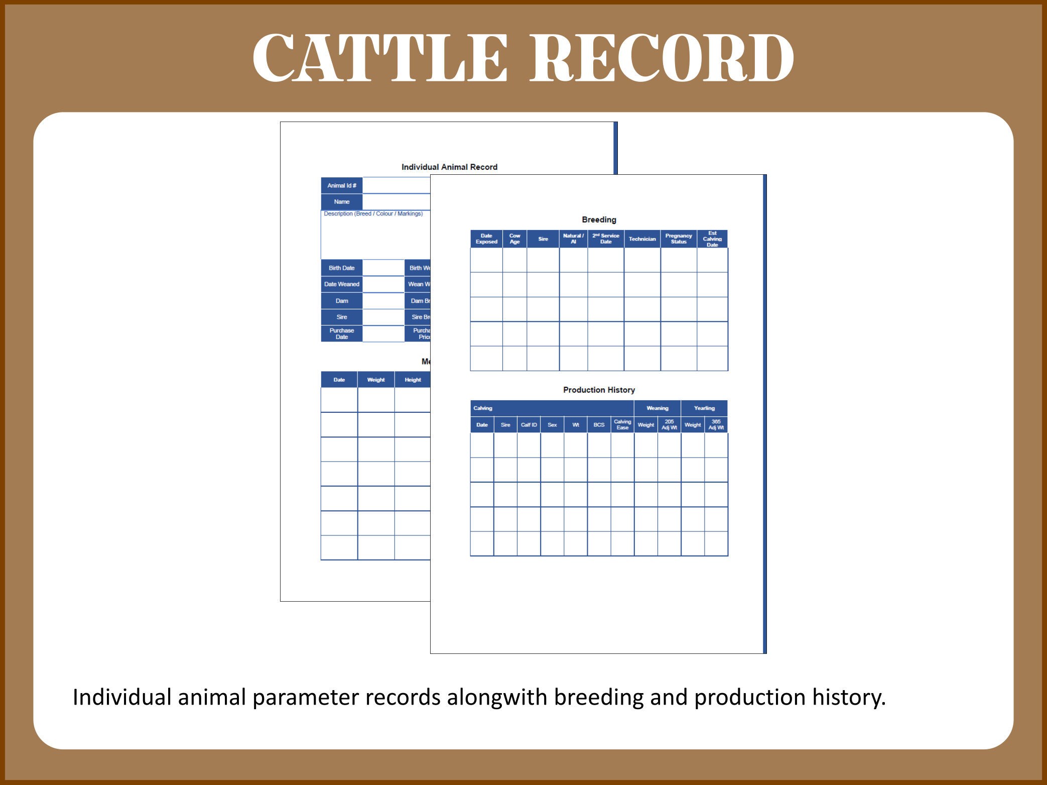 Complete Cattle Record - Etsy
