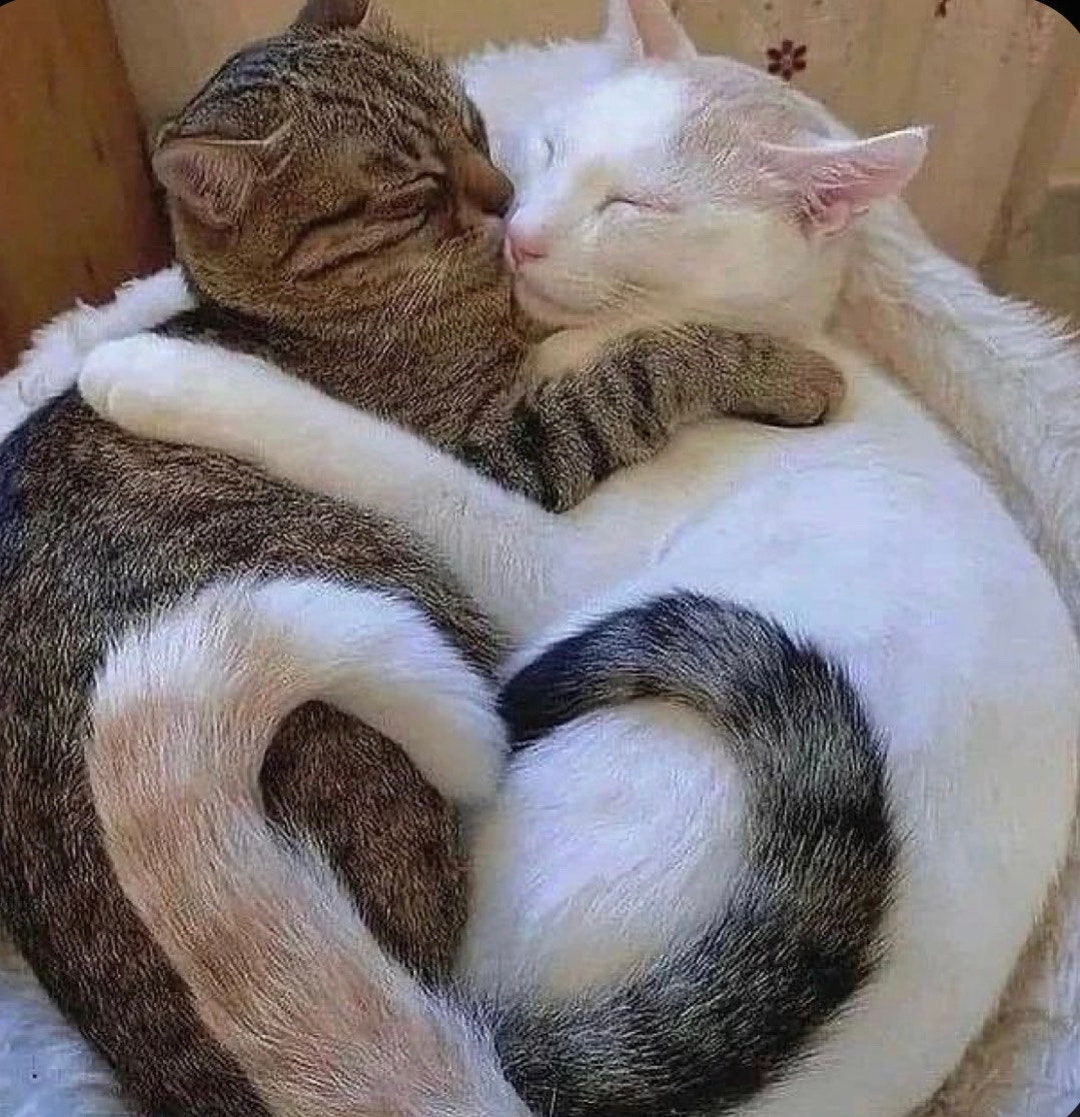 Therian Mask Commission:d - Etsy