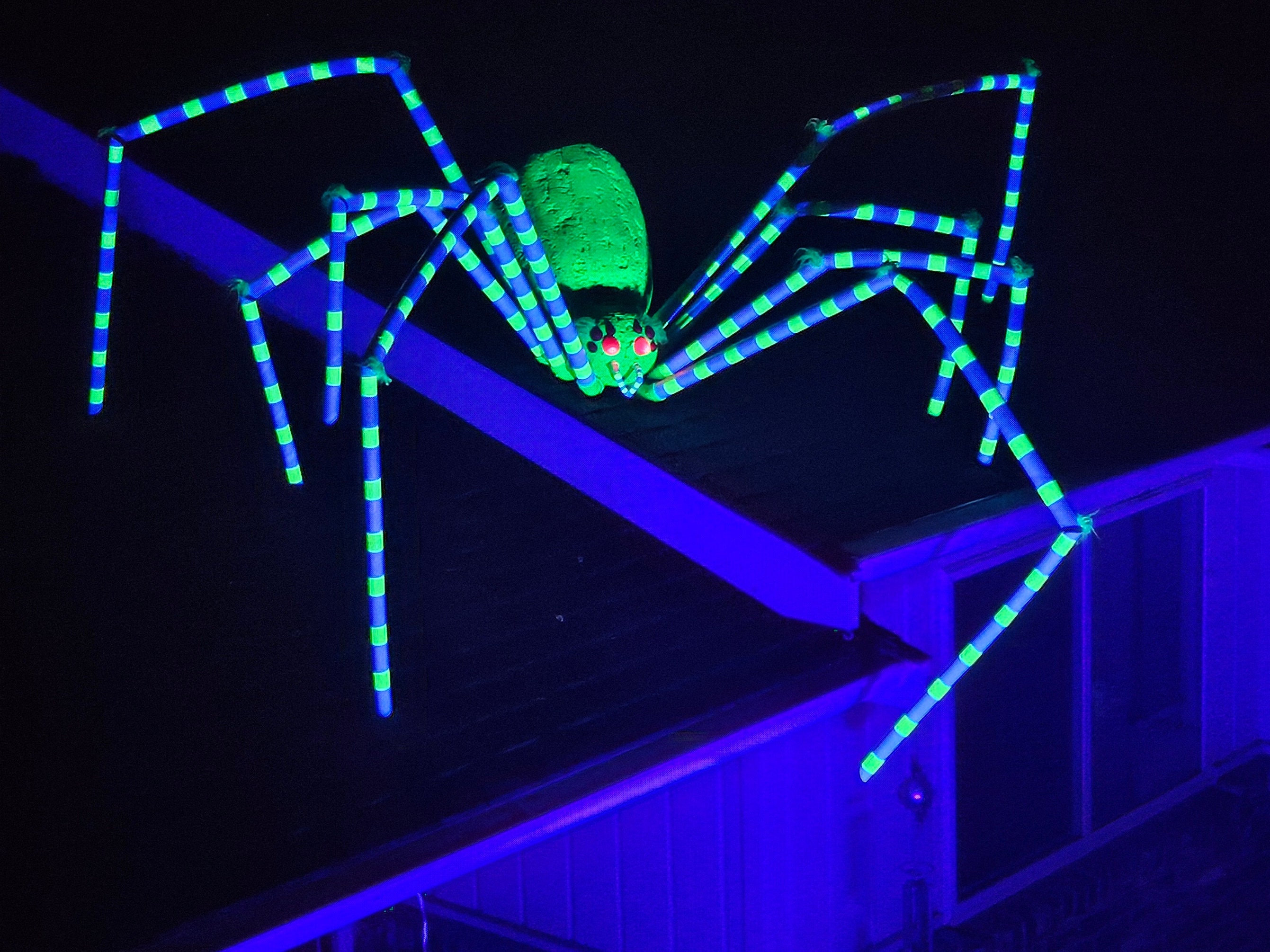 The Betelgeuse Spinnner Spider {huge Glowing Fluorescent Scary ...