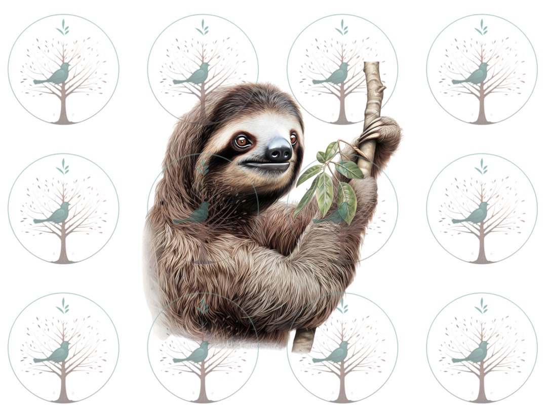 Sloth in a Tree Png, Instant Digital Download, Cute Wildlife Animal ...