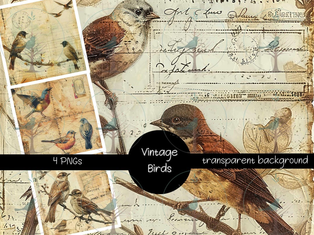 Vintage Bird Clipart Set PNG, Antique Sparrow Illustrations With ...
