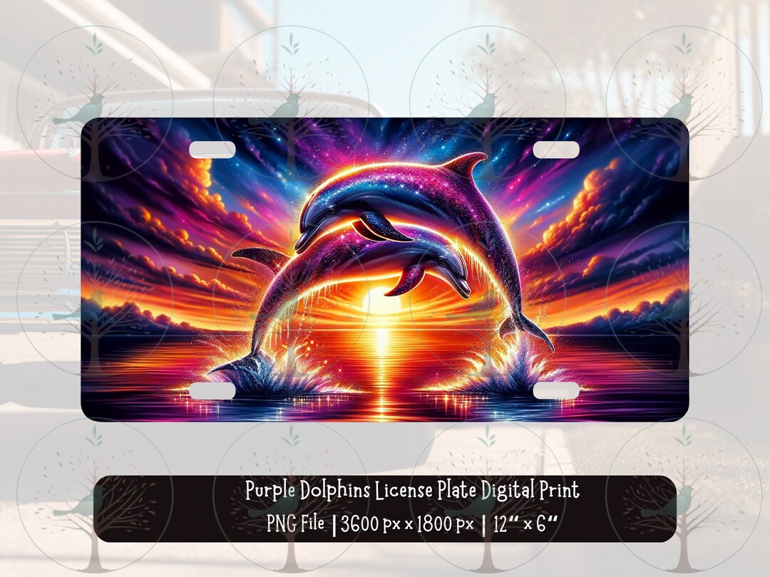 Front License Plate Funny Cute Dolphin License Plate PNG Ocean Beach ...