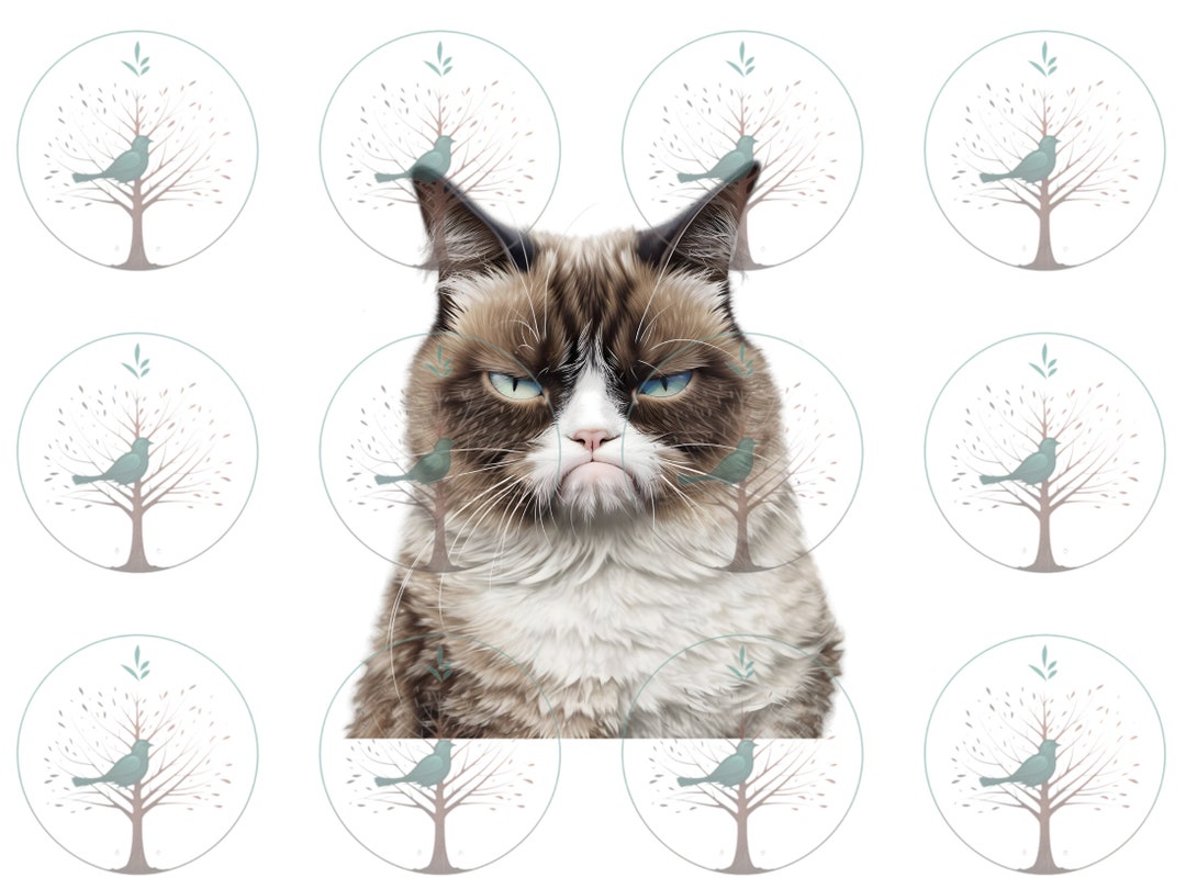 Silly Meme Cat Clipart, Grumpy, Cat Portrait, Funny Cat Mom, T-shirt ...