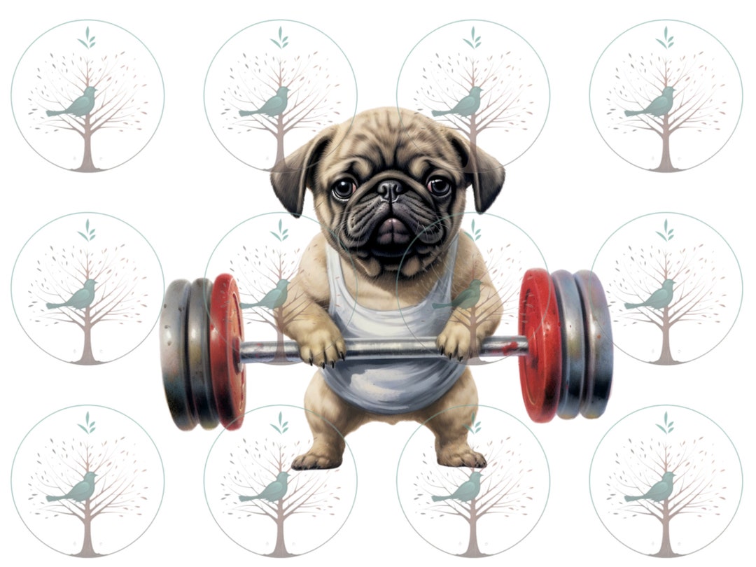 Cute Strong Pug Lifting Weights, T-shirt Sublimation File, Dog Dad ...