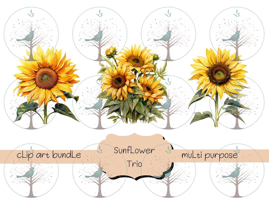 Sunflower Clip Art Bundle, Yellow Floral PNG, Ephemera Scrapbook, Junk ...