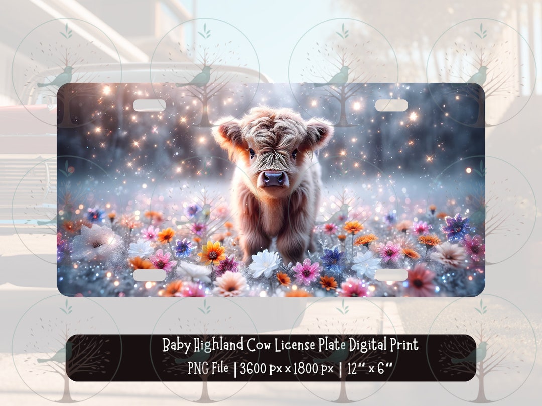 Cute Baby Highland Cow License Plate PNG, Animal Lover Gift, Field of ...