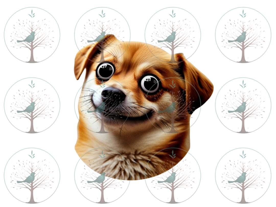 Silly Meme Dog, Funny Puppy Face, Cute Dog T-shirt Design Sublimation ...
