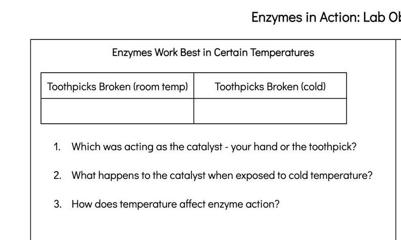 Enzymes HANDS ON Mini-lab! - Etsy
