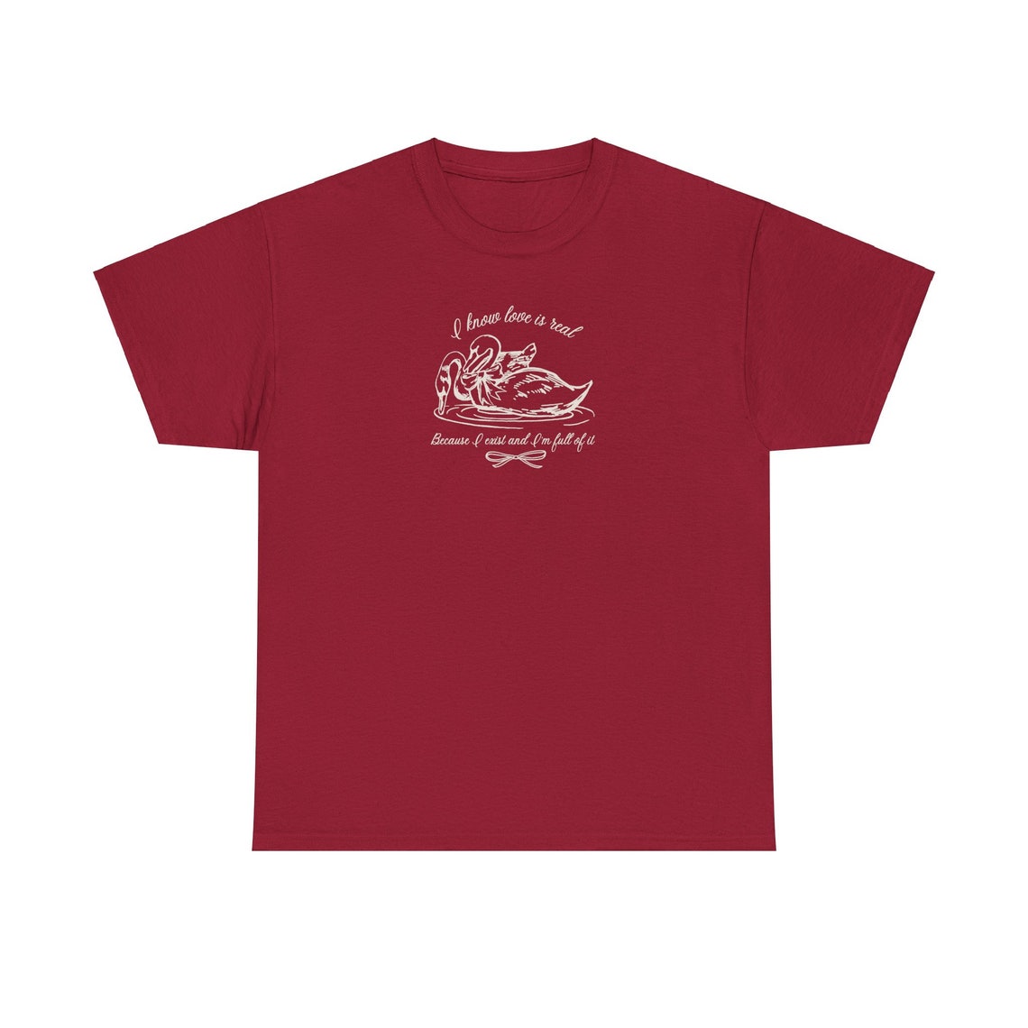 Coquette Shirt Lovecore Balletcore Ballet Core Coquette Clothing ...