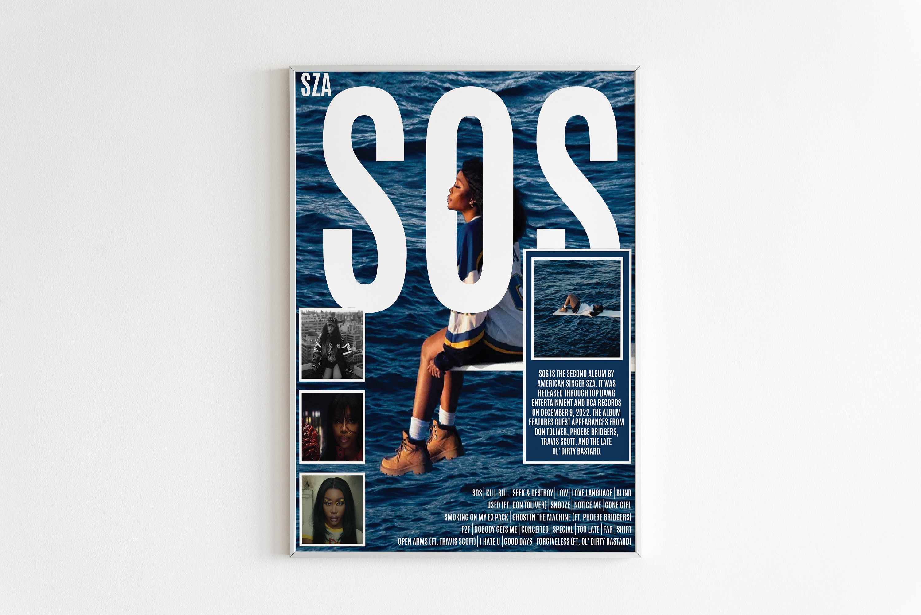 SOS Sza Poster, Sza SOS Poster, Sza SOS Album Cover Poster, Pop Culture ...