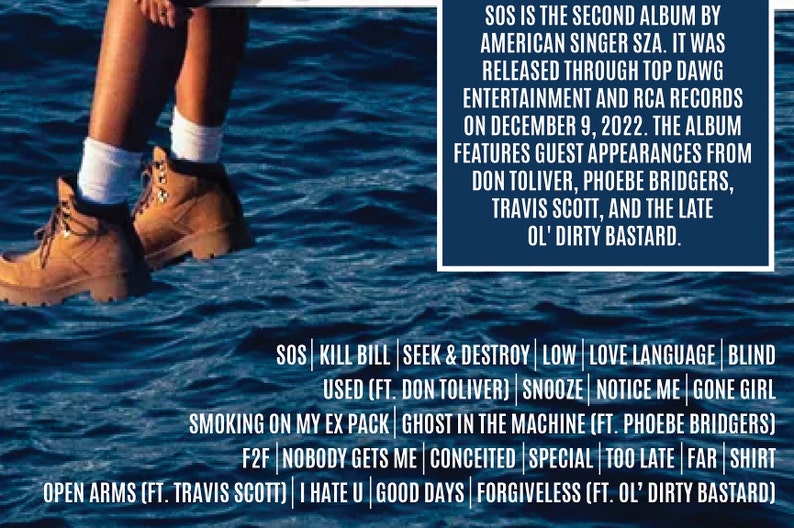 SOS Sza Poster, Sza SOS Poster, Sza SOS Album Cover Poster, Pop Culture ...