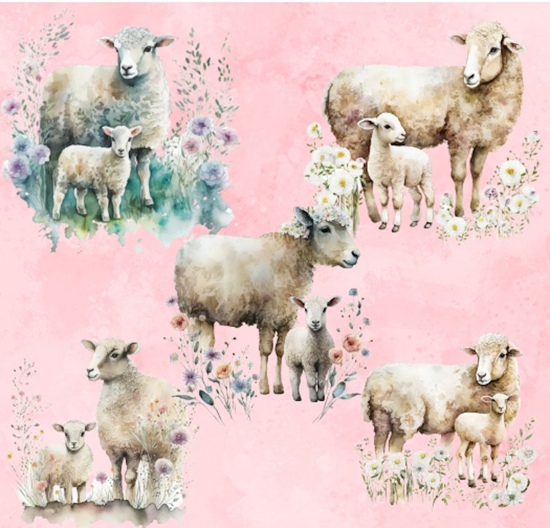 Highland Lamb Png Watercolor Clipart Floral Highland Sheep - Etsy