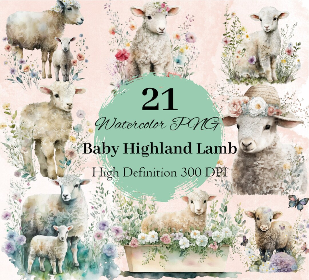 Highland Lamb Png, Watercolor Clipart, Floral Highland Sheep, Baby ...