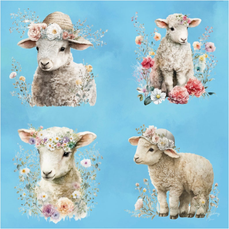 Highland Lamb Png, Watercolor Clipart, Floral Highland Sheep, Baby ...