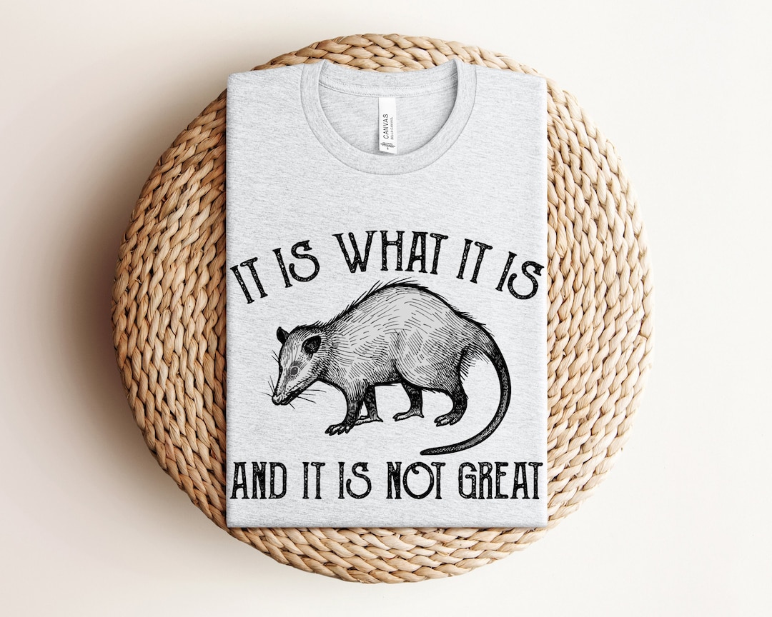 Possum Shirt, Opossum Shirts, Cute Opossum Tee, Opossum Lover Shirt ...