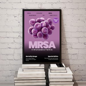 MRSA | Bacteria Infographic Poster, Microbiology Digital Wall Art ...