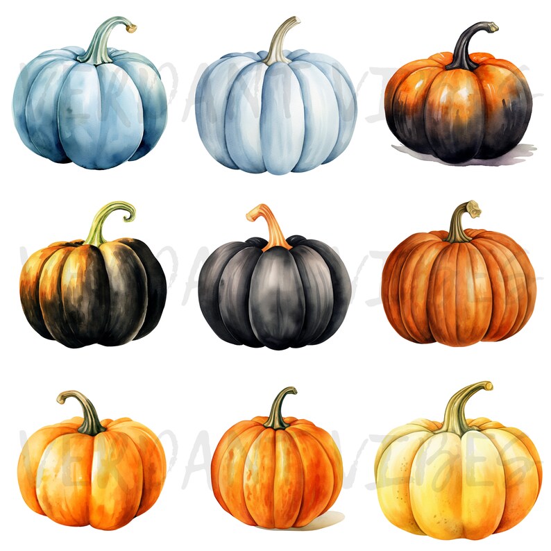 Fall Collection Clipart - 63 High Quality Pngs, Digital Planners, Cards ...
