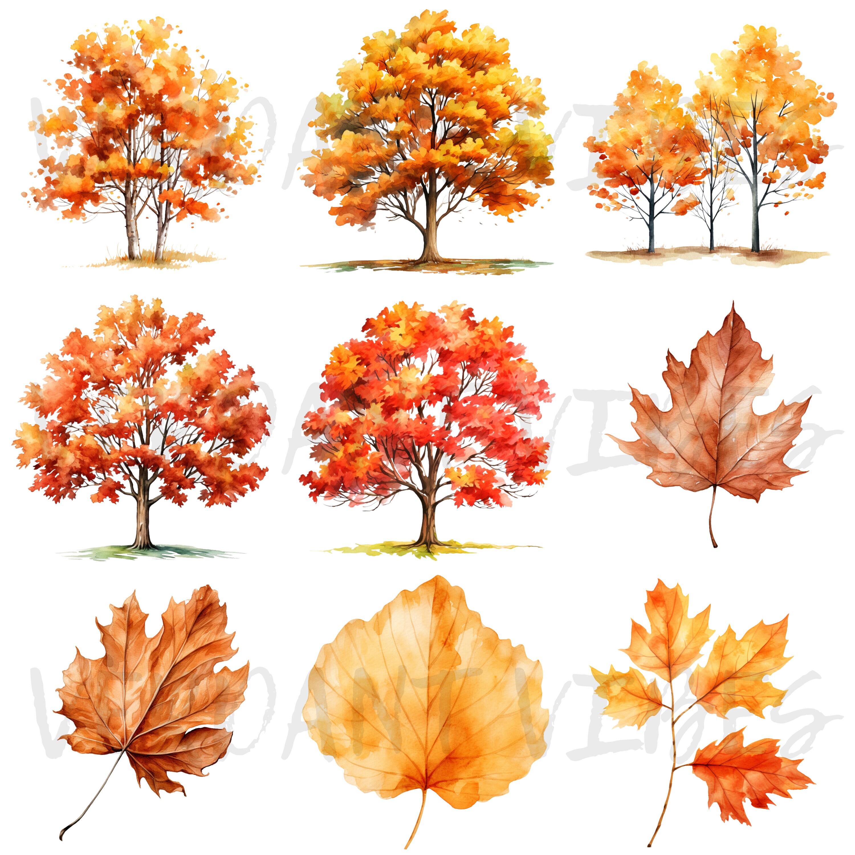 Fall Collection Clipart 63 High Quality Pngs, Digital Planners, Cards ...