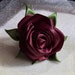 Eternal Flowers - Etsy