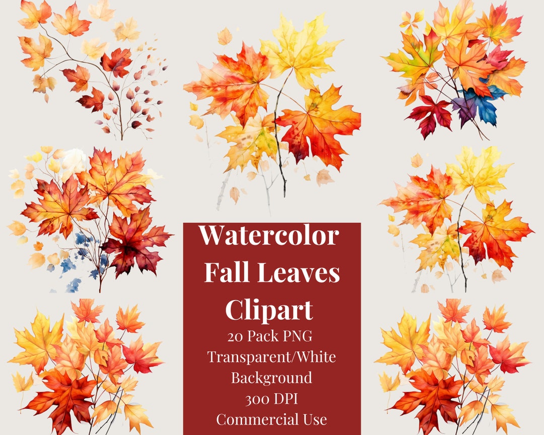 Set of 20 Watercolor Fall Leaves Clipart, Autumn Clipart, Fall Clipart ...