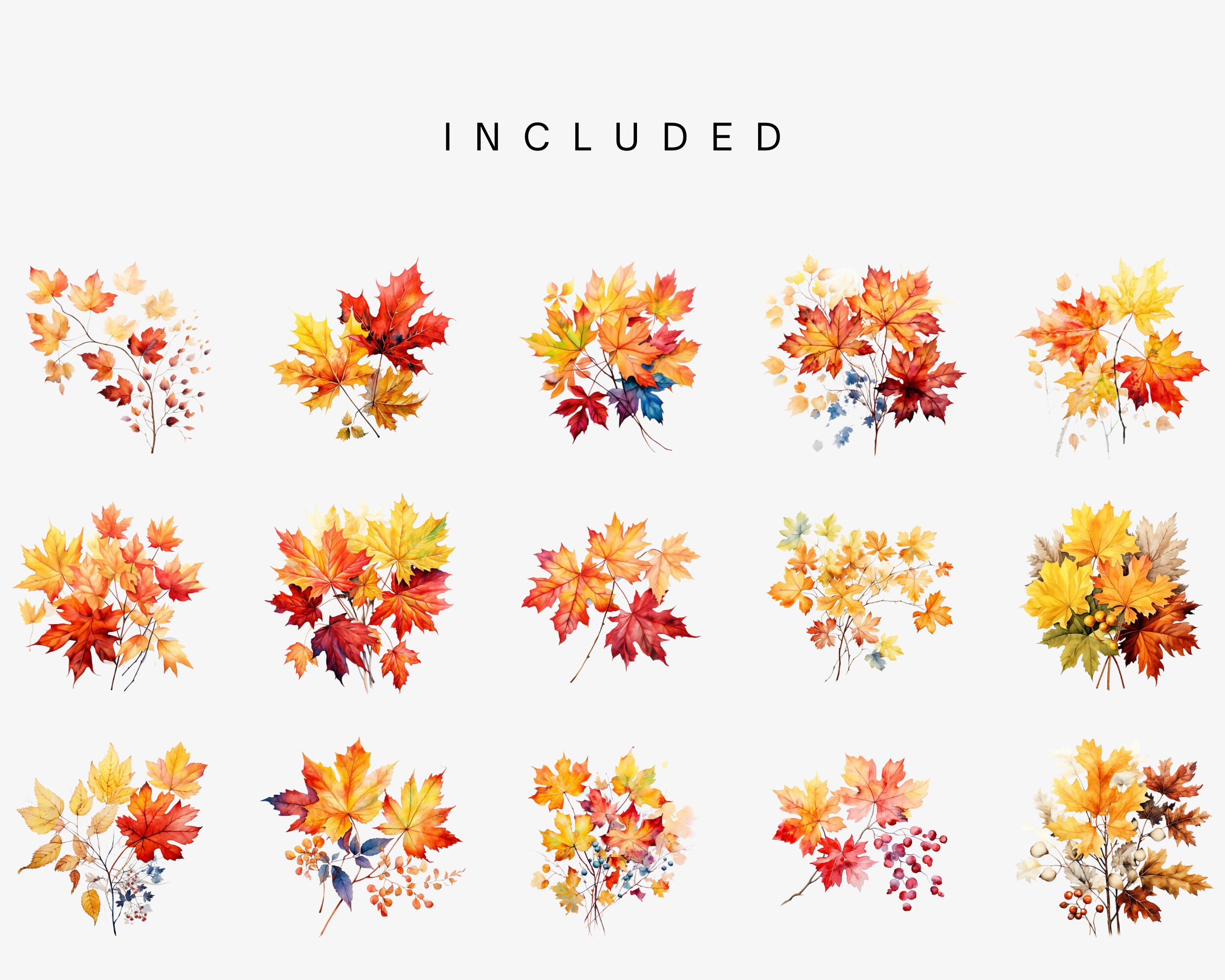 Set of 20 Watercolor Fall Leaves Clipart, Autumn Clipart, Fall Clipart ...