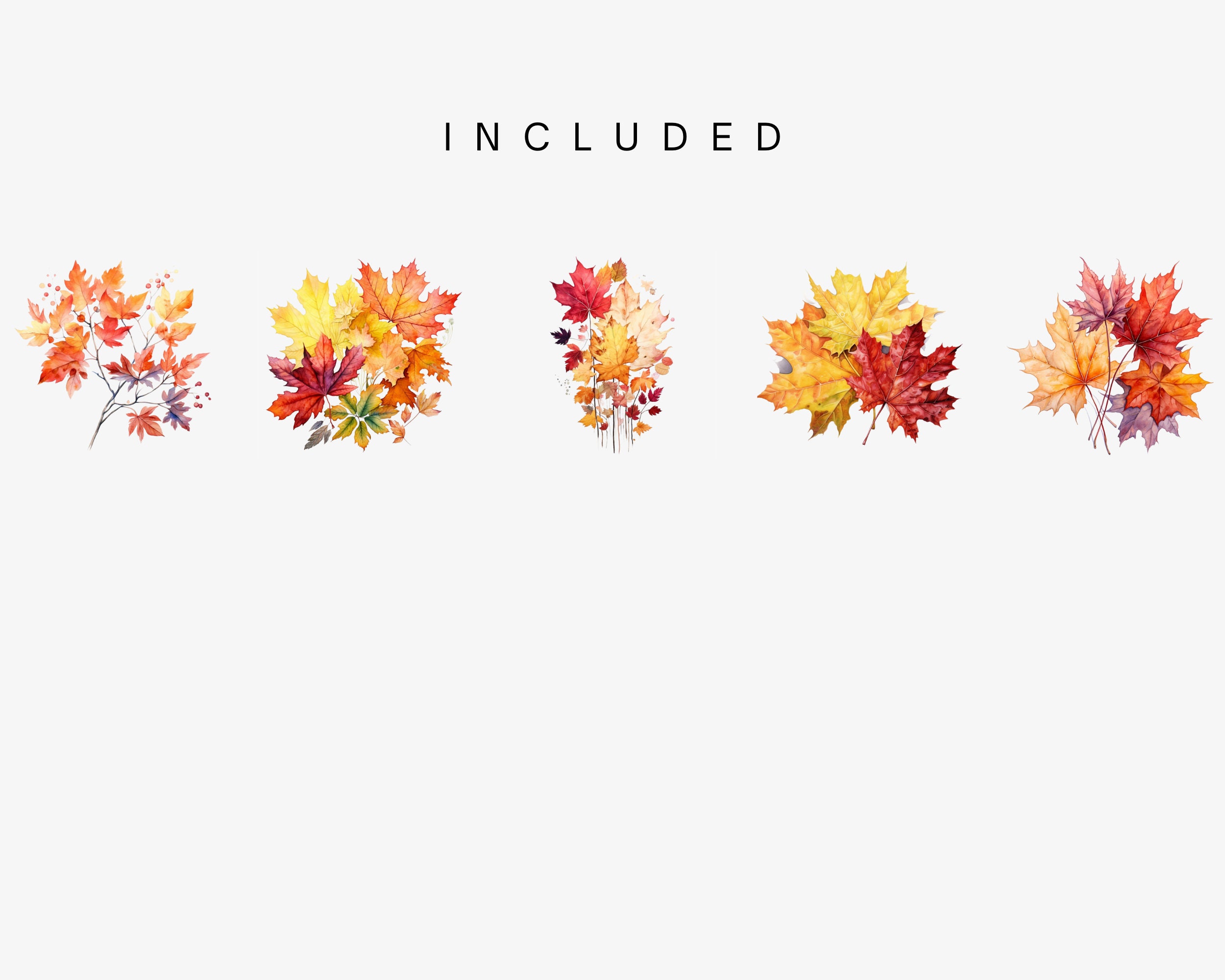 Set of 20 Watercolor Fall Leaves Clipart, Autumn Clipart, Fall Clipart ...