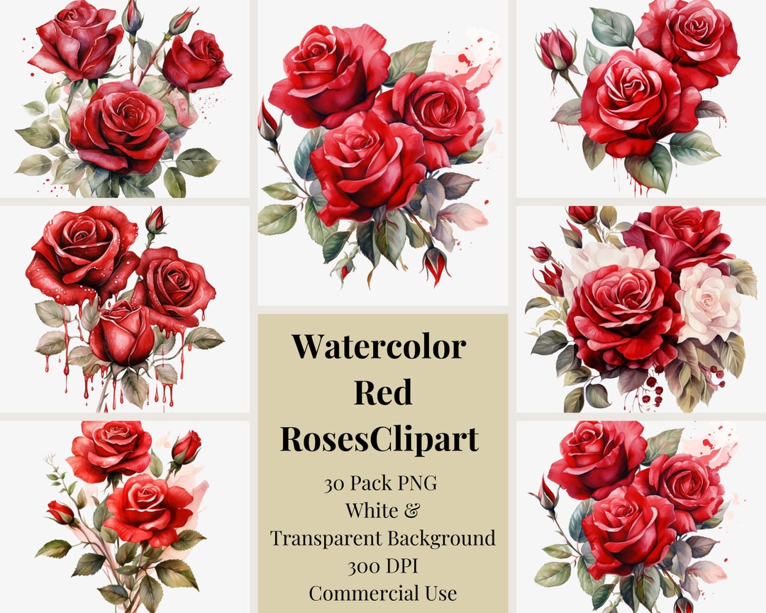 Watercolor Red Roses Clipart - Roses and Leaves in PNG Format Instant ...
