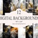 12 Black Gold Digital Backgrounds - 18x24 Inch High Resolution Digital ...