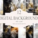 12 Black Gold Digital Backgrounds 18x24 Inch High Resolution Digital ...