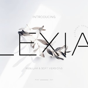 LEXIA Font, Procreate Fonts, Instagram Font, Canva Fonts, Modern Font ...