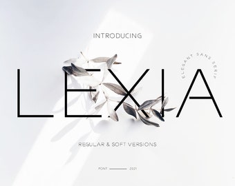 Alena Elegant Serif , Procreate Fonts, Instagram Font, Canva Fonts ...