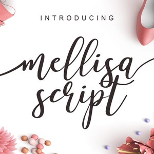 Mellisa Script, Procreate Fonts, Instagram Font, Canva Fonts, Modern Font, Logo Fonts, Wedding ...