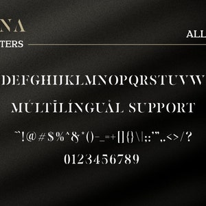 Alena Elegant Serif , Procreate Fonts, Instagram Font, Canva Fonts ...