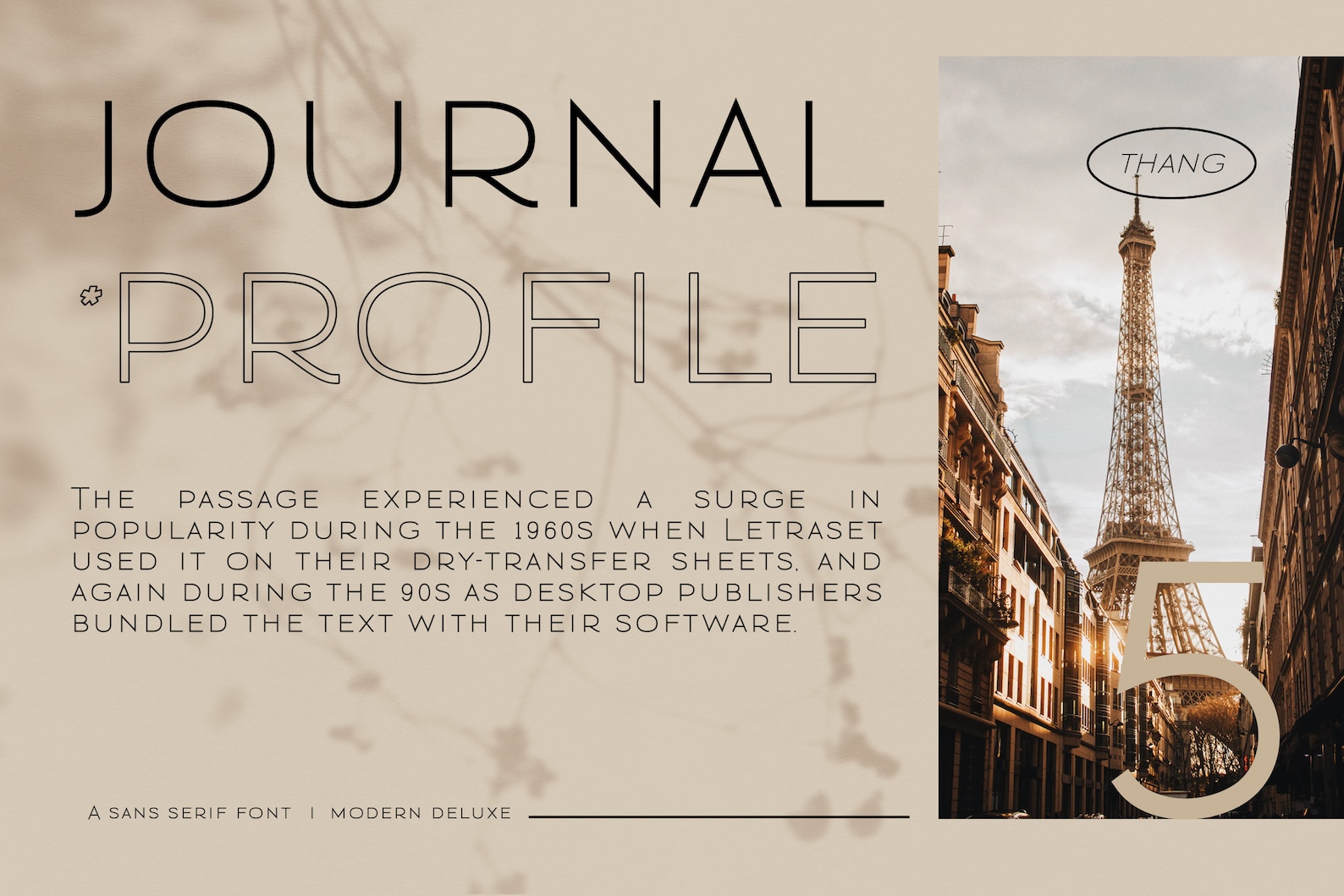 Modern Deluxe Font, Procreate Fonts, Instagram Font, Canva Fonts ...