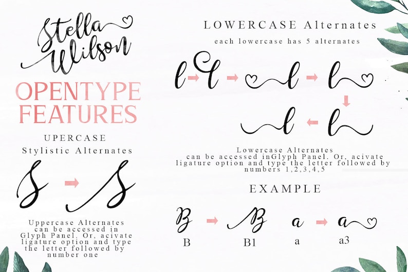 Stella Wilson Font, Procreate Fonts, Instagram Font, Canva Fonts ...