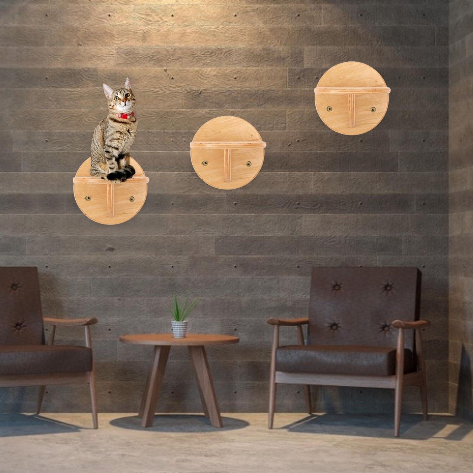 Wooden Cat Shelf, Cat Corner Shelf, Wall Mounted Cat Shelf, Cat Shelf ...