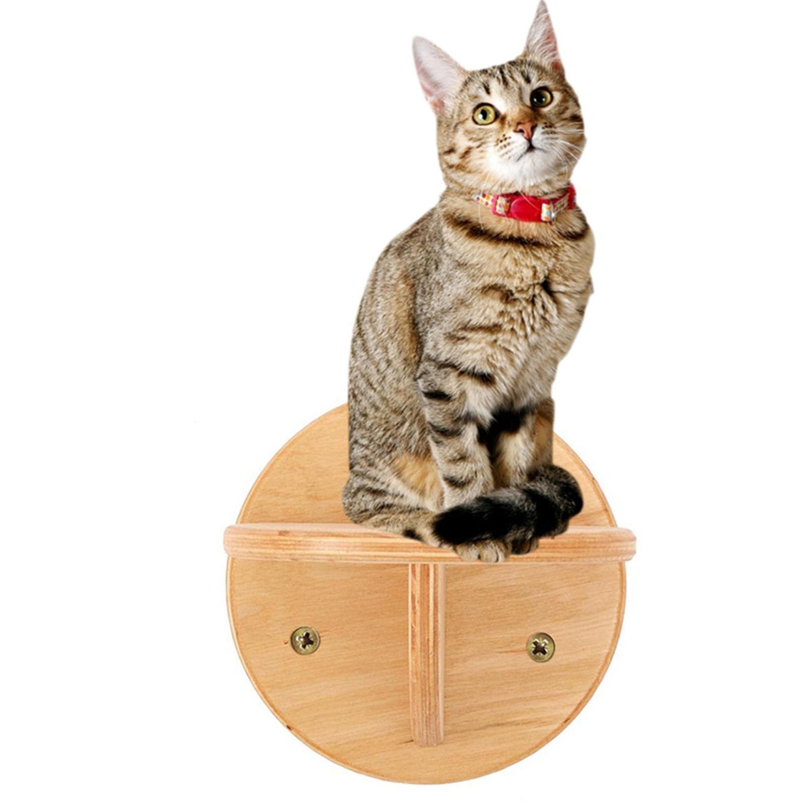 Wooden Cat Shelf, Cat Corner Shelf, Wall Mounted Cat Shelf, Cat Shelf ...