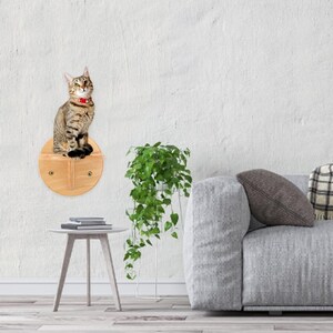 Wooden Cat Shelf, Cat Corner Shelf, Wall Mounted Cat Shelf, Cat Shelf ...