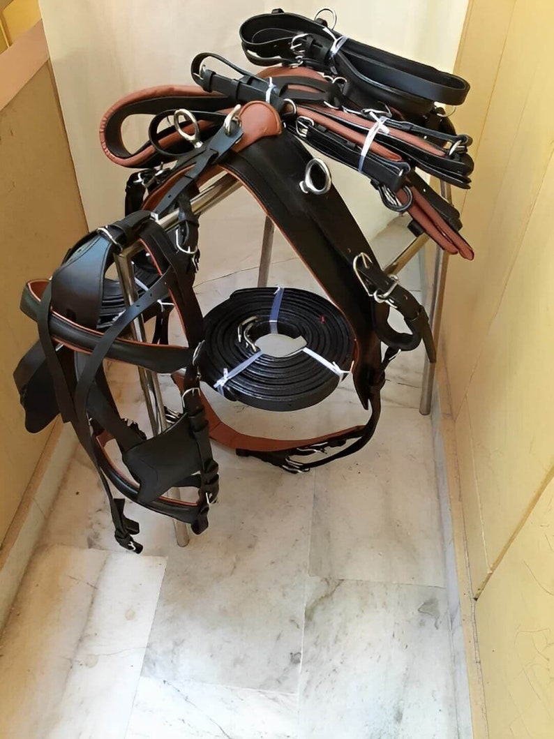 Premium Designer Leather Driving Harness for Single Horse Cart - Etsy