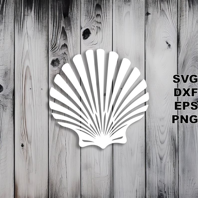 Seashells SVG Cut Files (svg Dxf Png Eps) Silhouette & Cricut, Digital ...