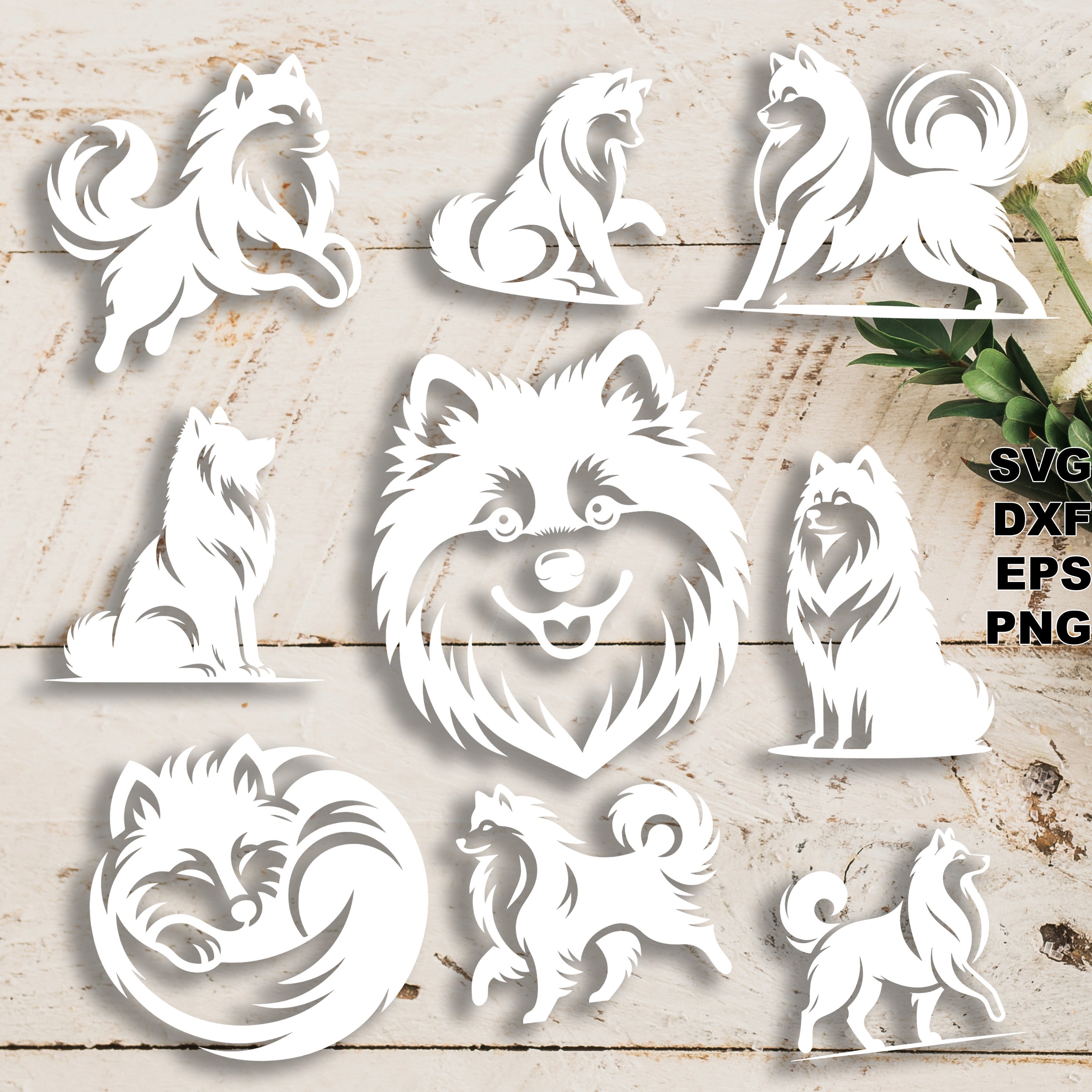 Pomsky SVG Cut Files svg Dxf Png Eps Silhouette & Cricut, Digital ...