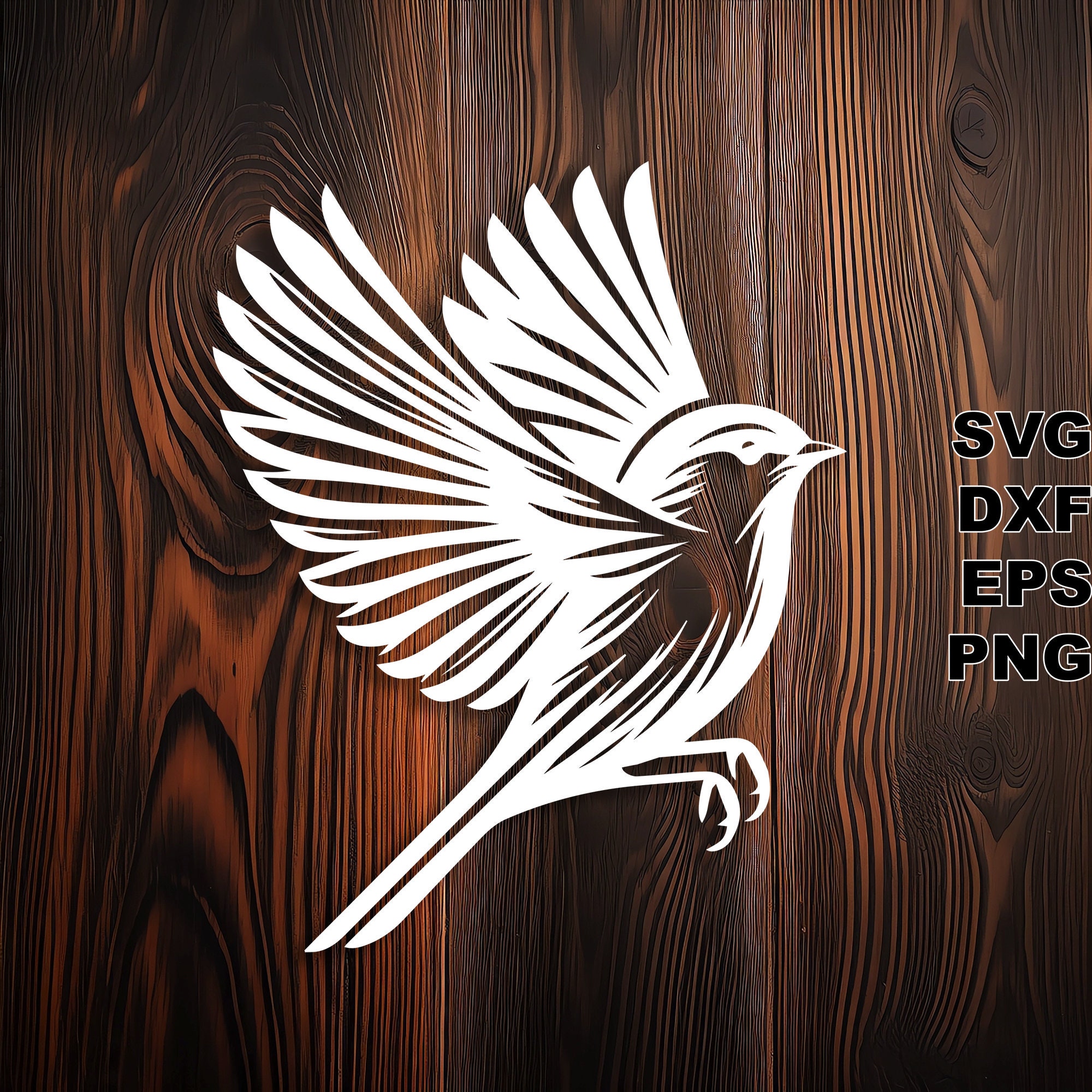 Birds of the American Southwest - SVG Cut Files (svg Dxf Png Eps) Vinyl ...