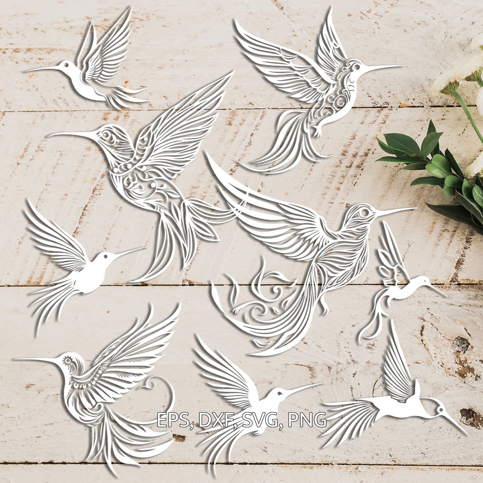 Hummingbirds SVG Cut Files (svg Dxf Png Eps) Silhouette & Cricut ...