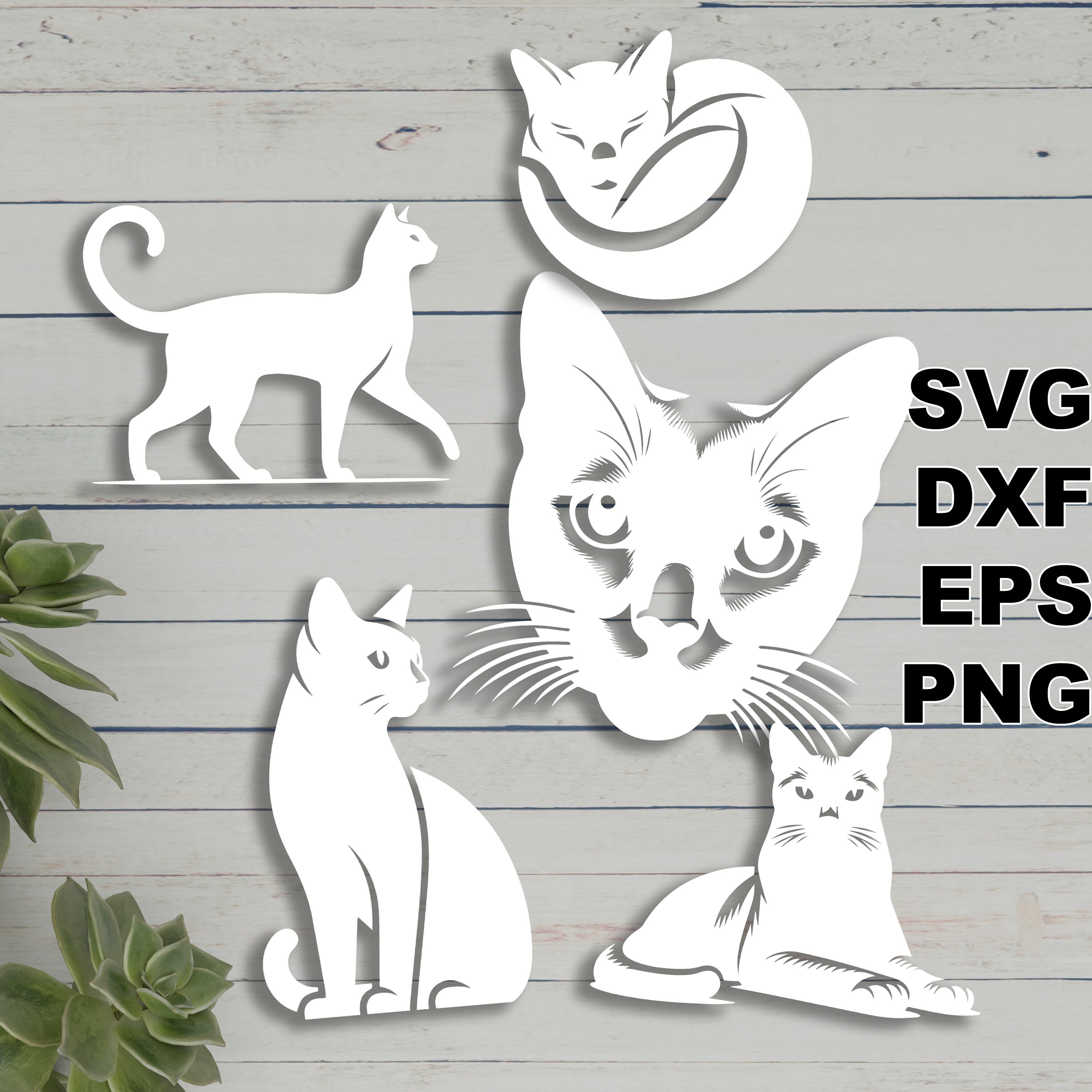 Russian Blue Cat SVG Cut Files svg Dxf Png Eps Silhouette & Cricut ...