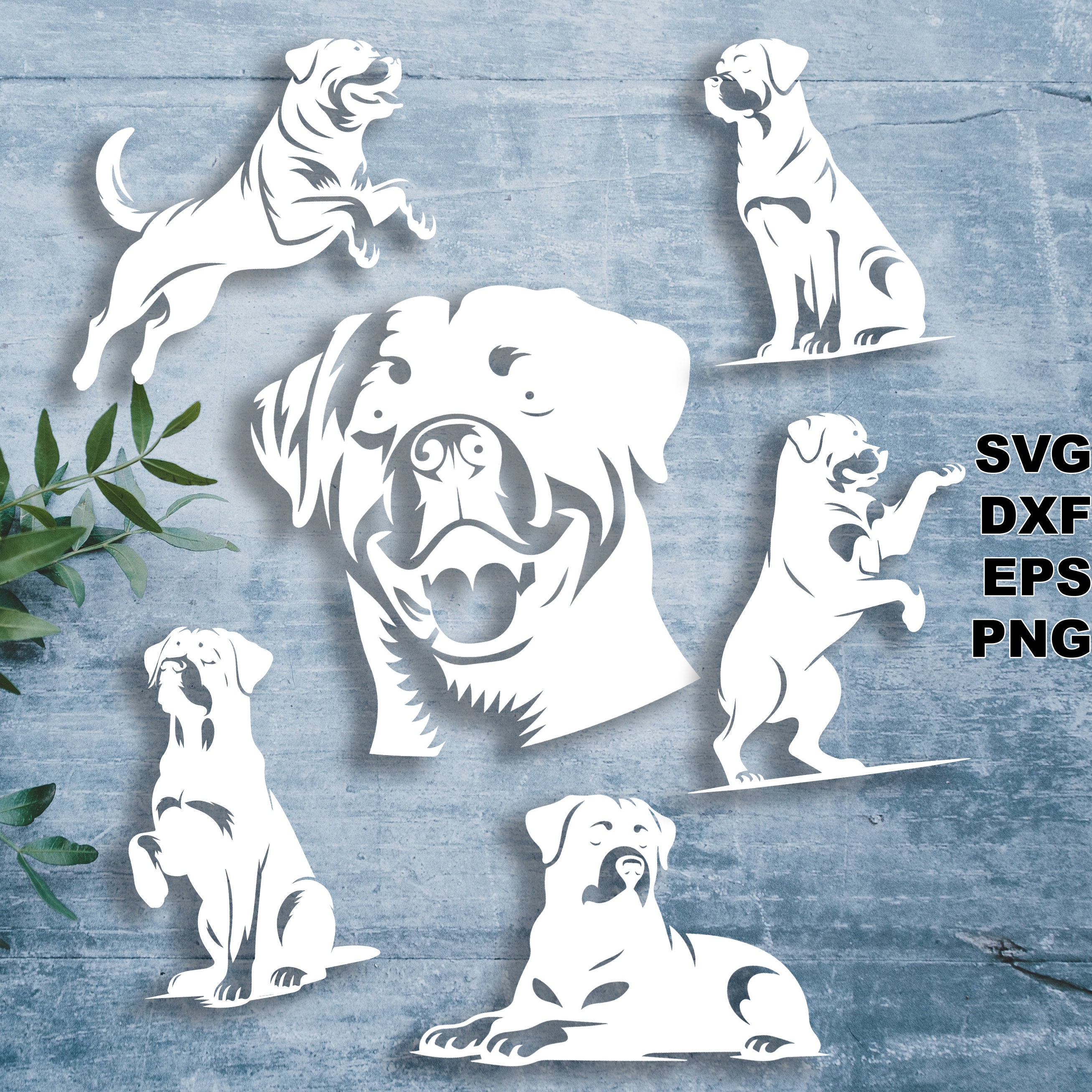Rottweiler SVG Cut Files svg Dxf Png Eps Silhouette & Cricut, Digital ...