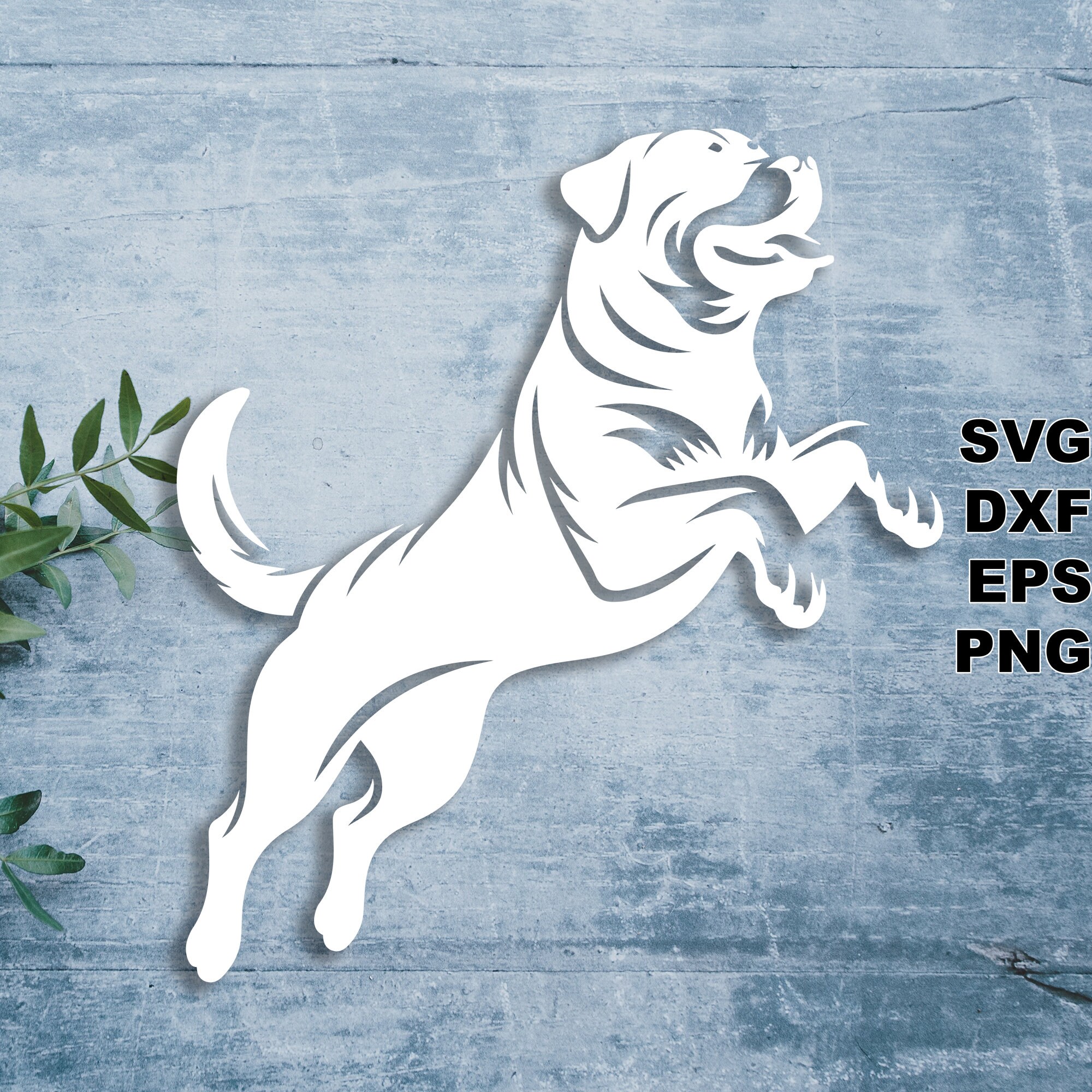 Rottweiler SVG Cut Files svg Dxf Png Eps Silhouette & Cricut, Digital ...