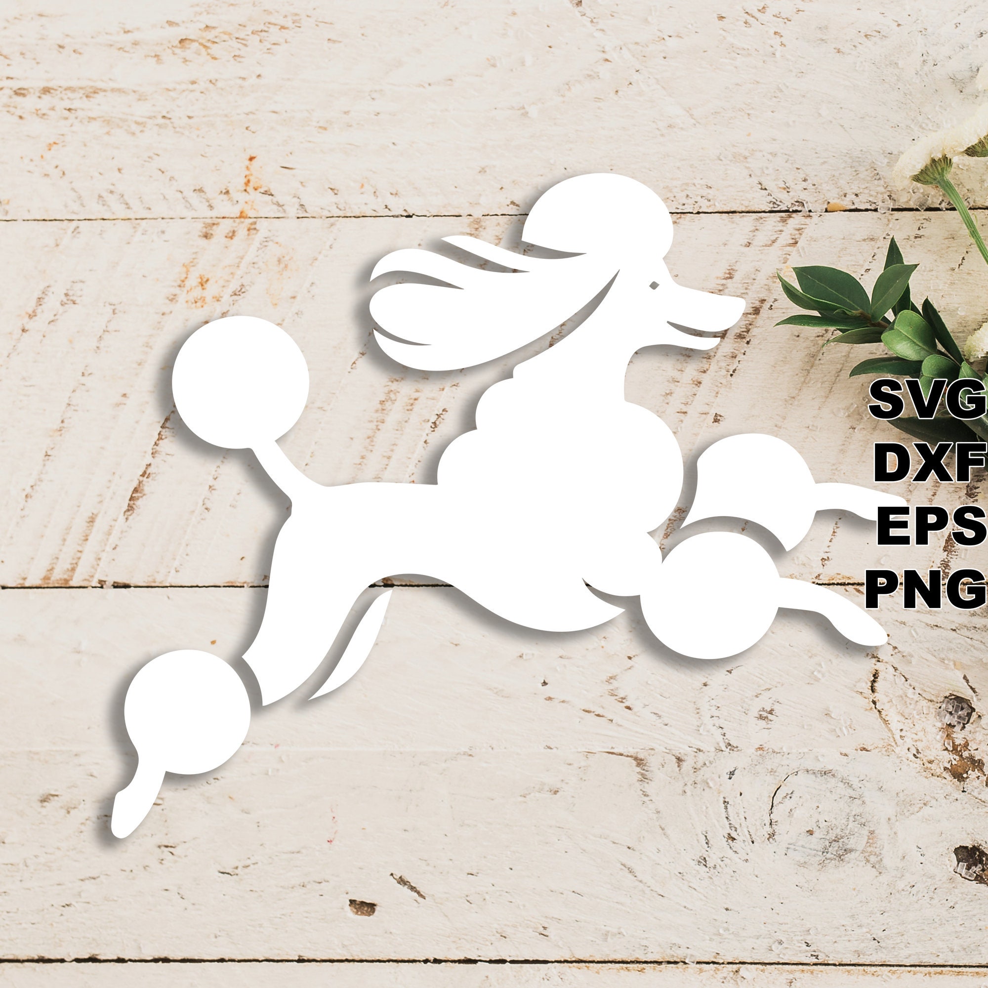 Poodle SVG Cut Files (svg Dxf Png Eps) Silhouette & Cricut, Digital ...