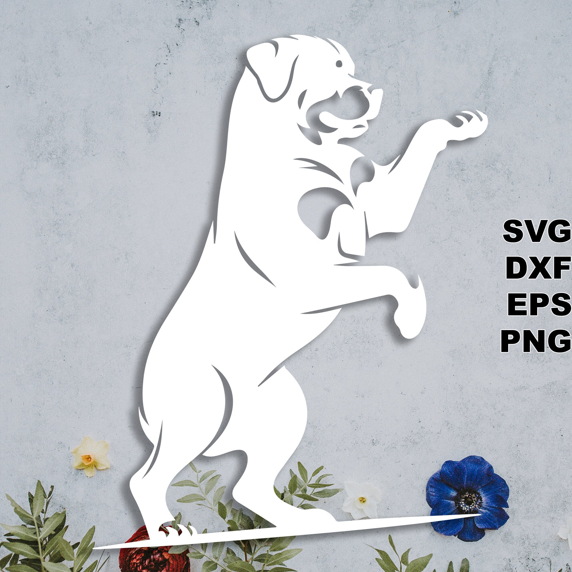 Rottweiler SVG Cut Files svg Dxf Png Eps Silhouette & Cricut, Digital ...